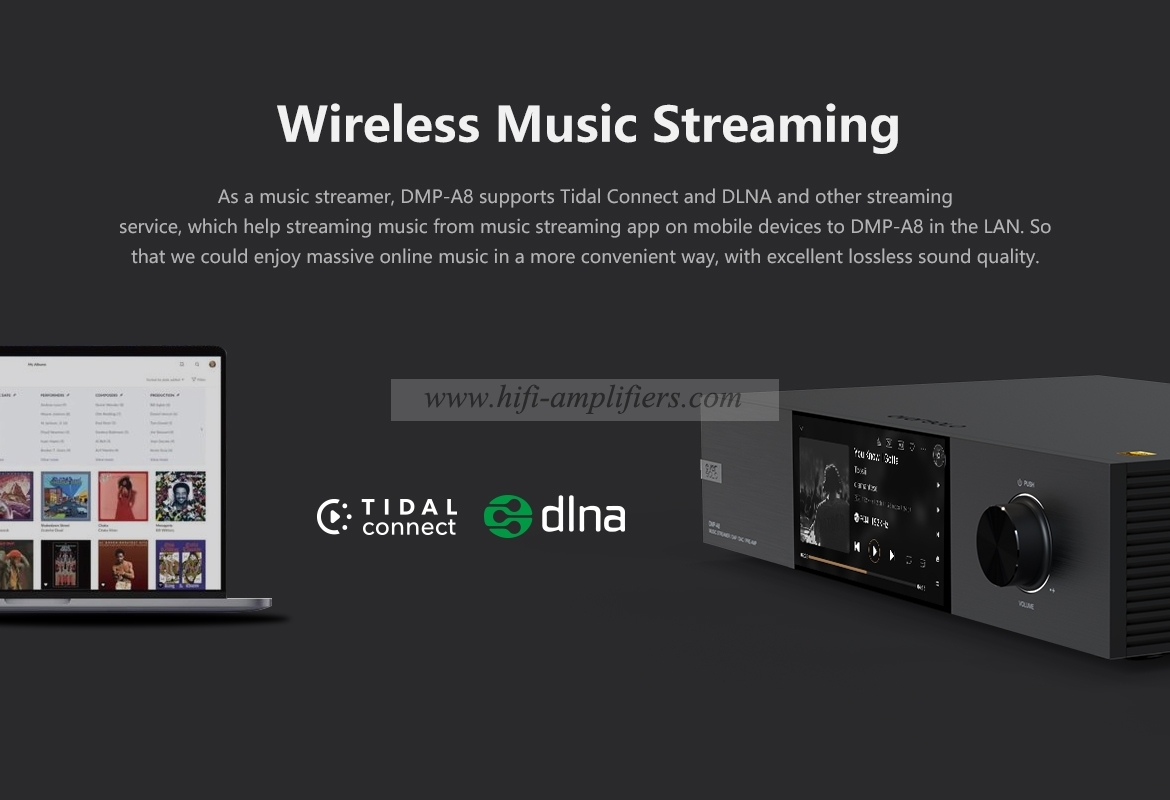 EVERSOLO DMP-A8 | DESKTOP DAC AND STREAMER Preamp [EVERSOLO DMP-A8 ...